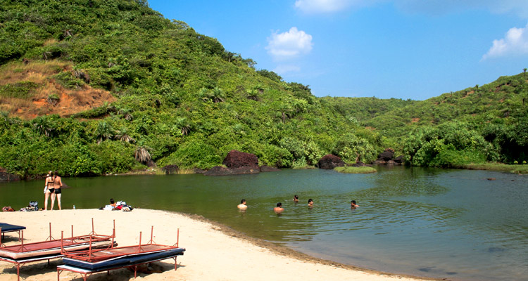 Arambol Beach Goa, India (Location, Activities, Night Life, Images ...
