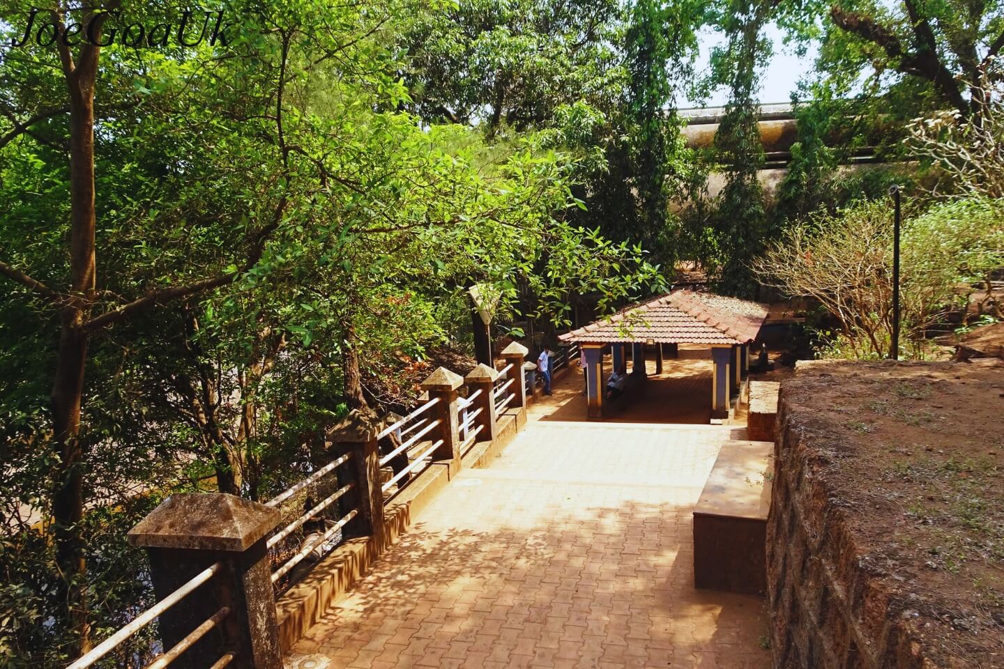 Arvalem Waterfall Goa, India (Timings, Location, Best Time to Visit ...