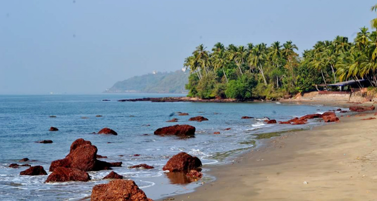 Baga Beach Goa, India (Location, Activities, Night Life, Images, Facts ...