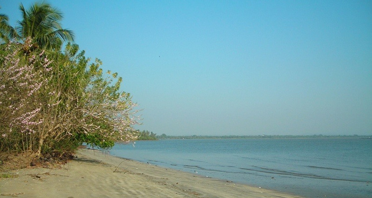 Bambolim Beach Goa, India (Location, Activities, Night Life, Images ...