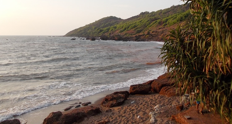 Calangute Beach Goa, India (Location, Activities, Night Life, Images ...