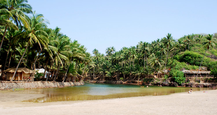 Cola Beach Goa, India (Location, Activities, Night Life, Images, Facts ...