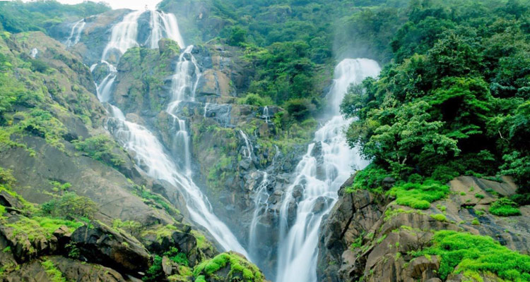Dudhsagar Waterfall Goa, India (Timings, Location, Best Time to Visit ... Dudhsagar Waterfall Goa, India (Timings, Location, Best Time to Visit ...
