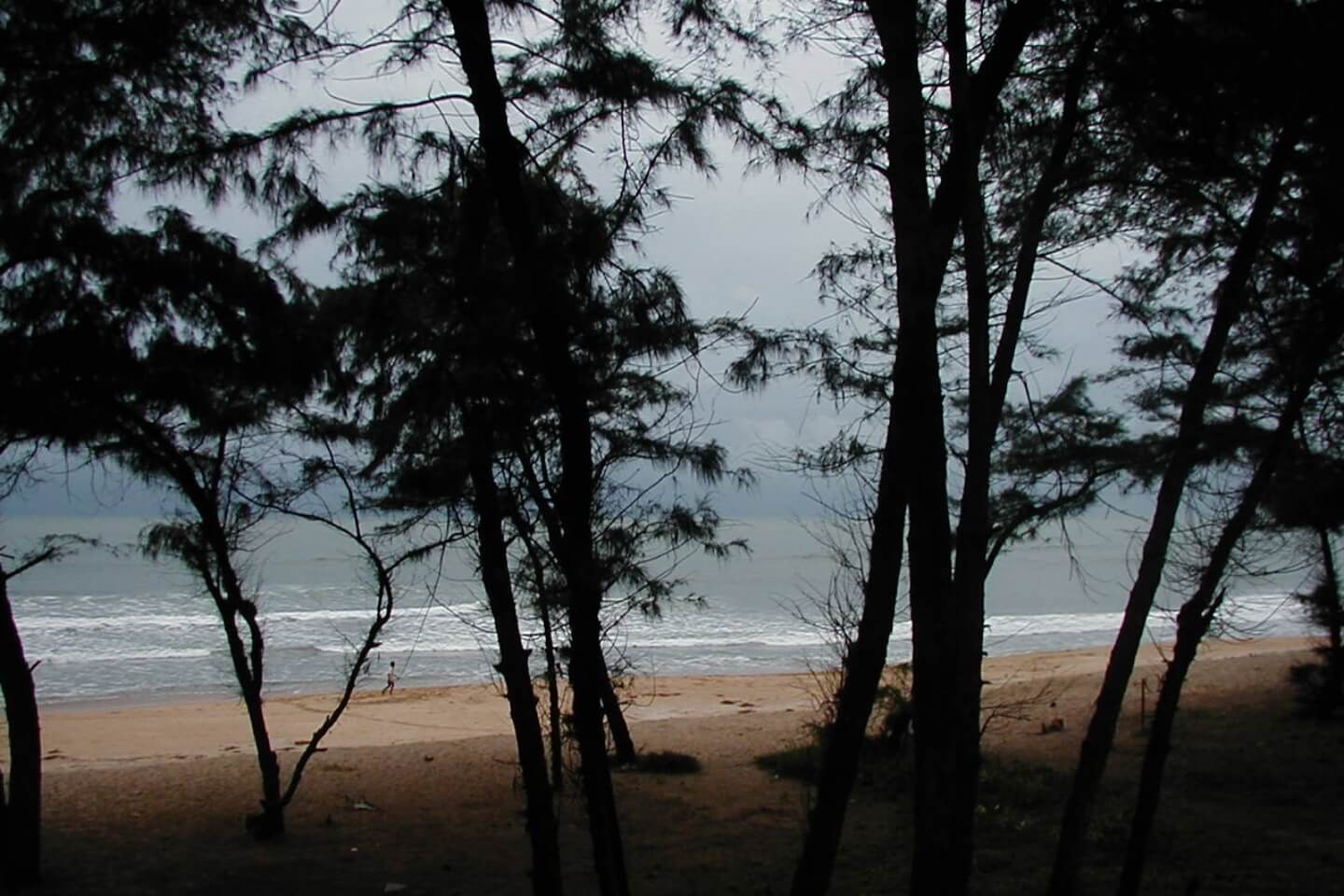 Galgibaga Beach Goa, India (Location, Activities, Night Life, Images ...