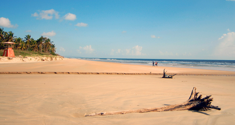 Majorda beach Goa, India (Location, Activities, Night Life, Images ...