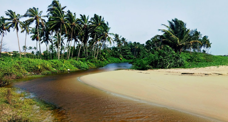 Miramar Beach Goa, India (Location, Activities, Night Life, Images ...