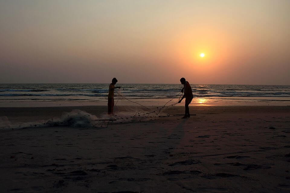 Morjim Beach Goa, India (Location, Activities, Night Life, Images ...