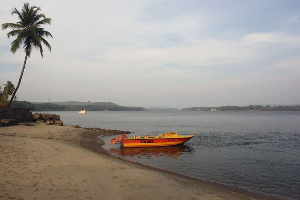 Morjim Beach Goa, India (Location, Activities, Night Life, Images ...