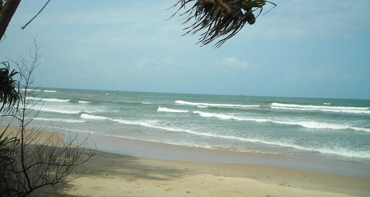 Velsao Beach Goa, India (Location, Activities, Night Life, Images ...